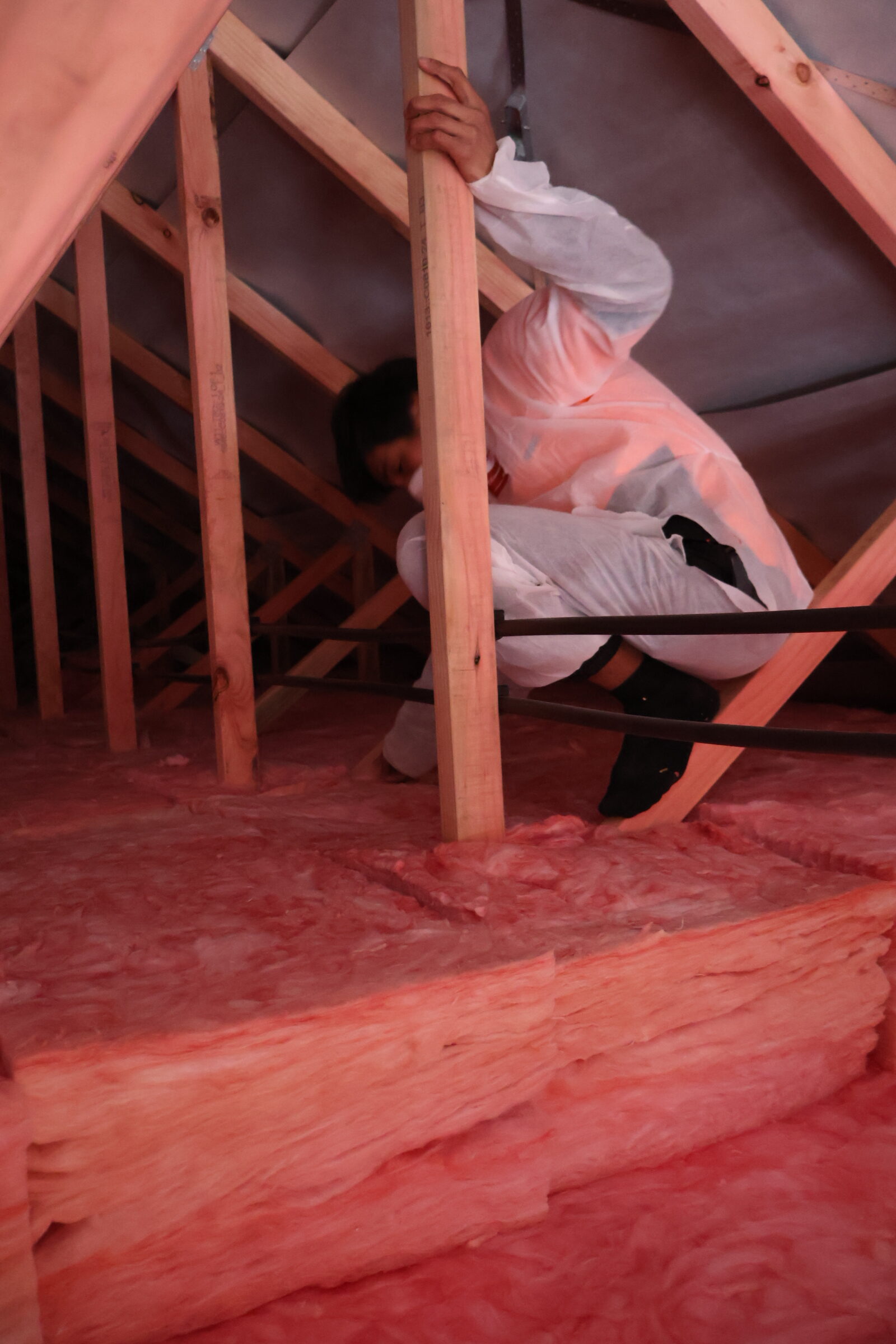 Pink Batts – Rodney Insulations – the Insulations Expert