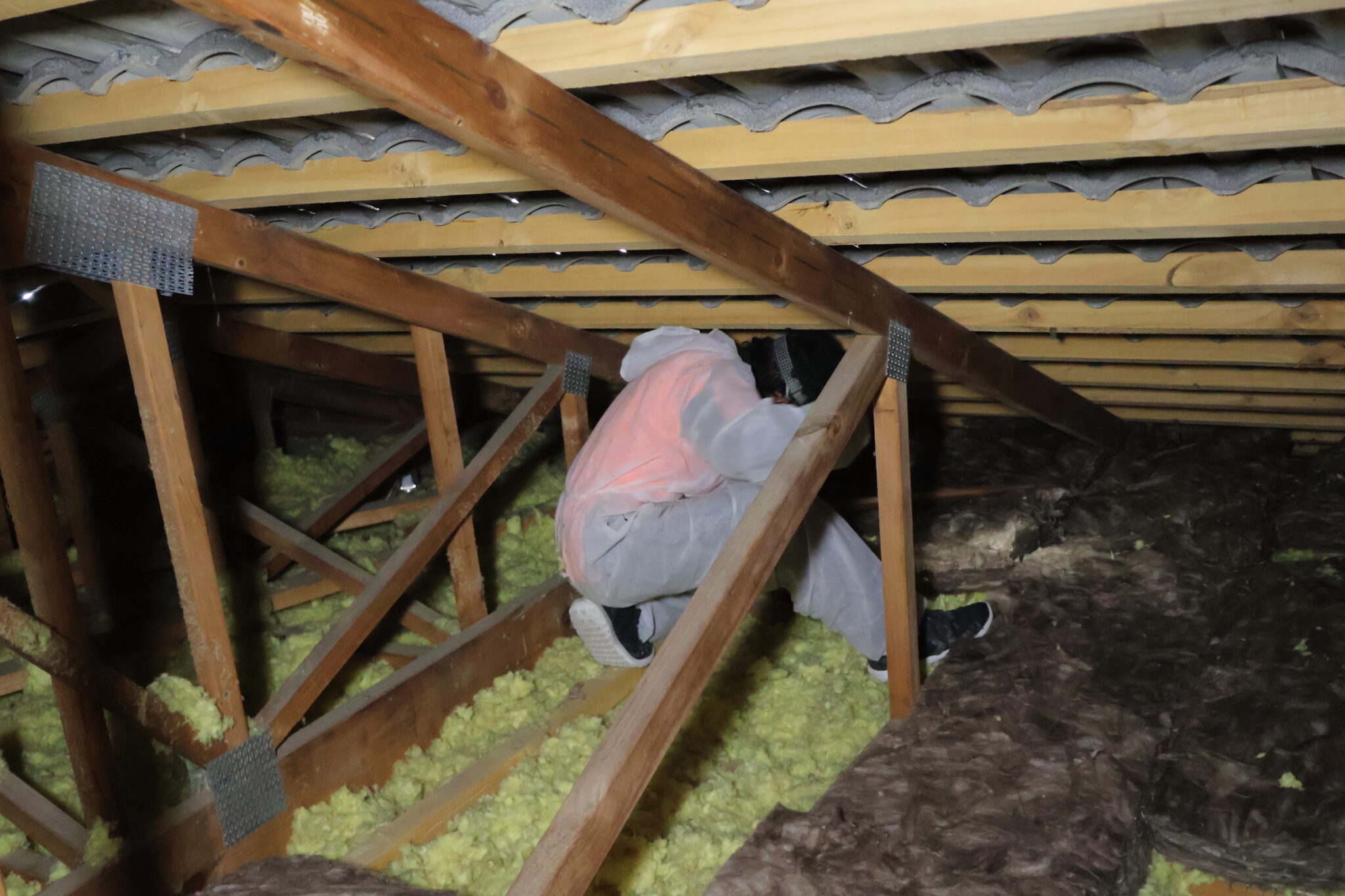Rodney Insulations – the Insulations Expert
